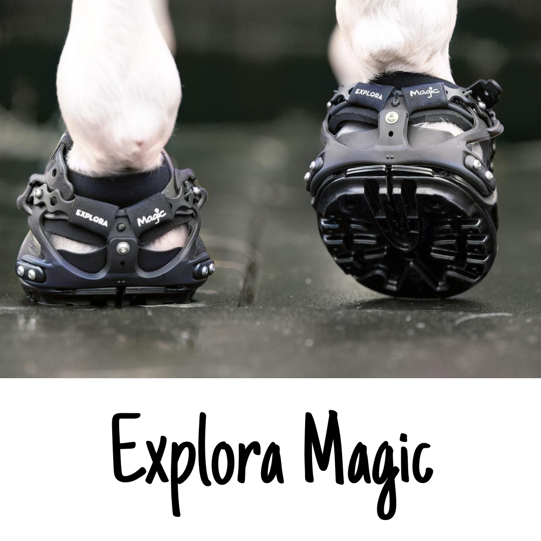 Explora Magic Boots og tilbehør – ErgoHorse